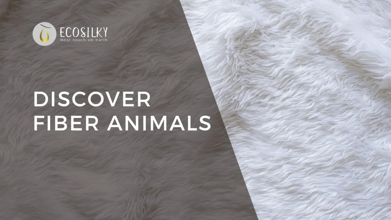 Discovering the diversity of fiber animals type